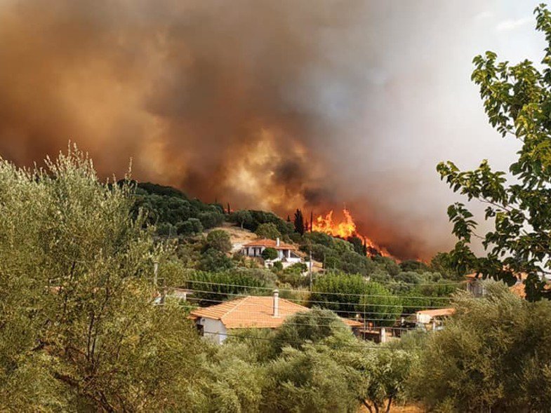 Τι απαντά το υπουργείο για τις φωτιές στη Δωρίδα - Nafpaktos Voice